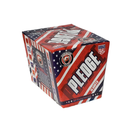 Wholesale Fireworks - Pledge Cases 12/1